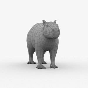 3D Capybara Models | TurboSquid