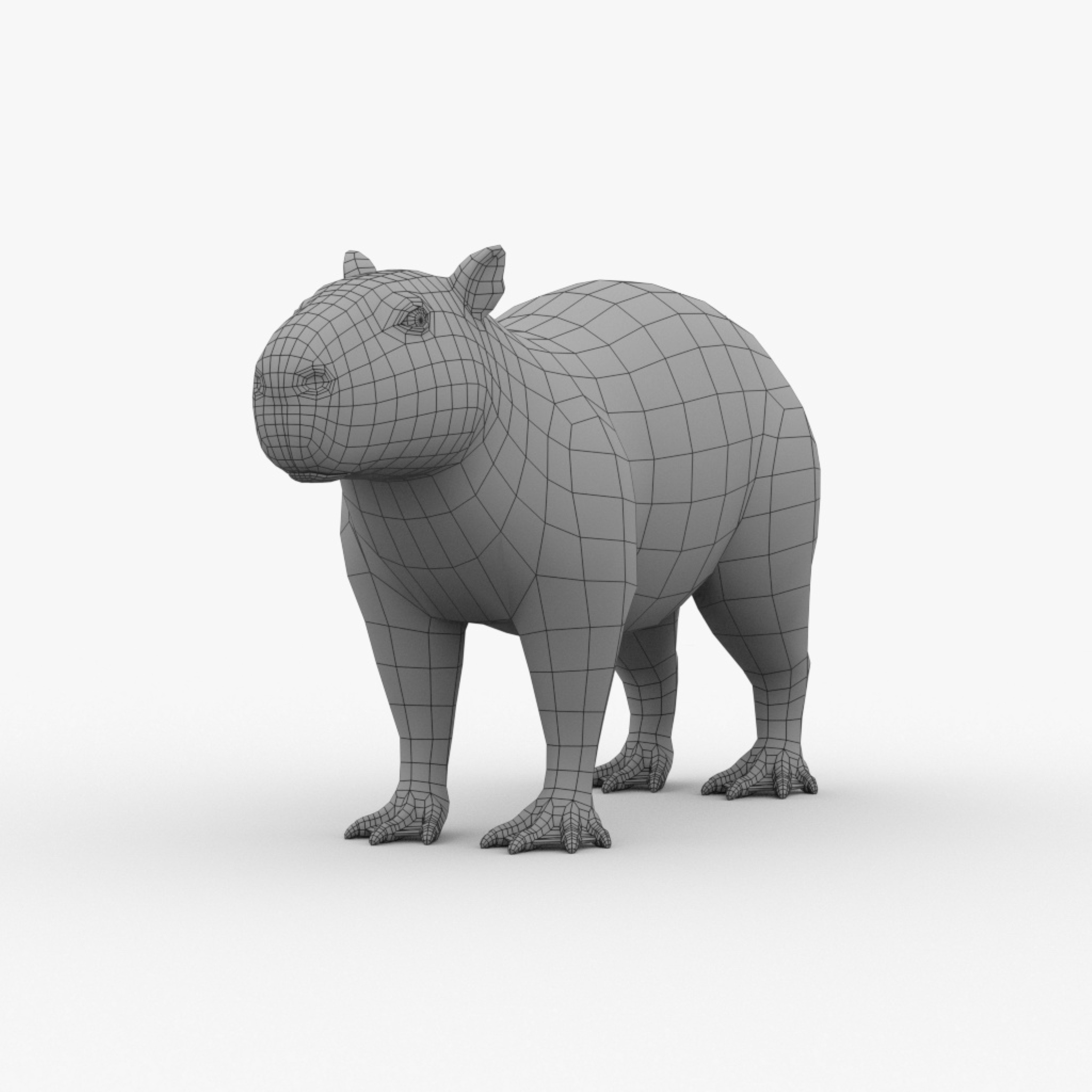 modelo 3d capybara basemesh - TurboSquid 2006876