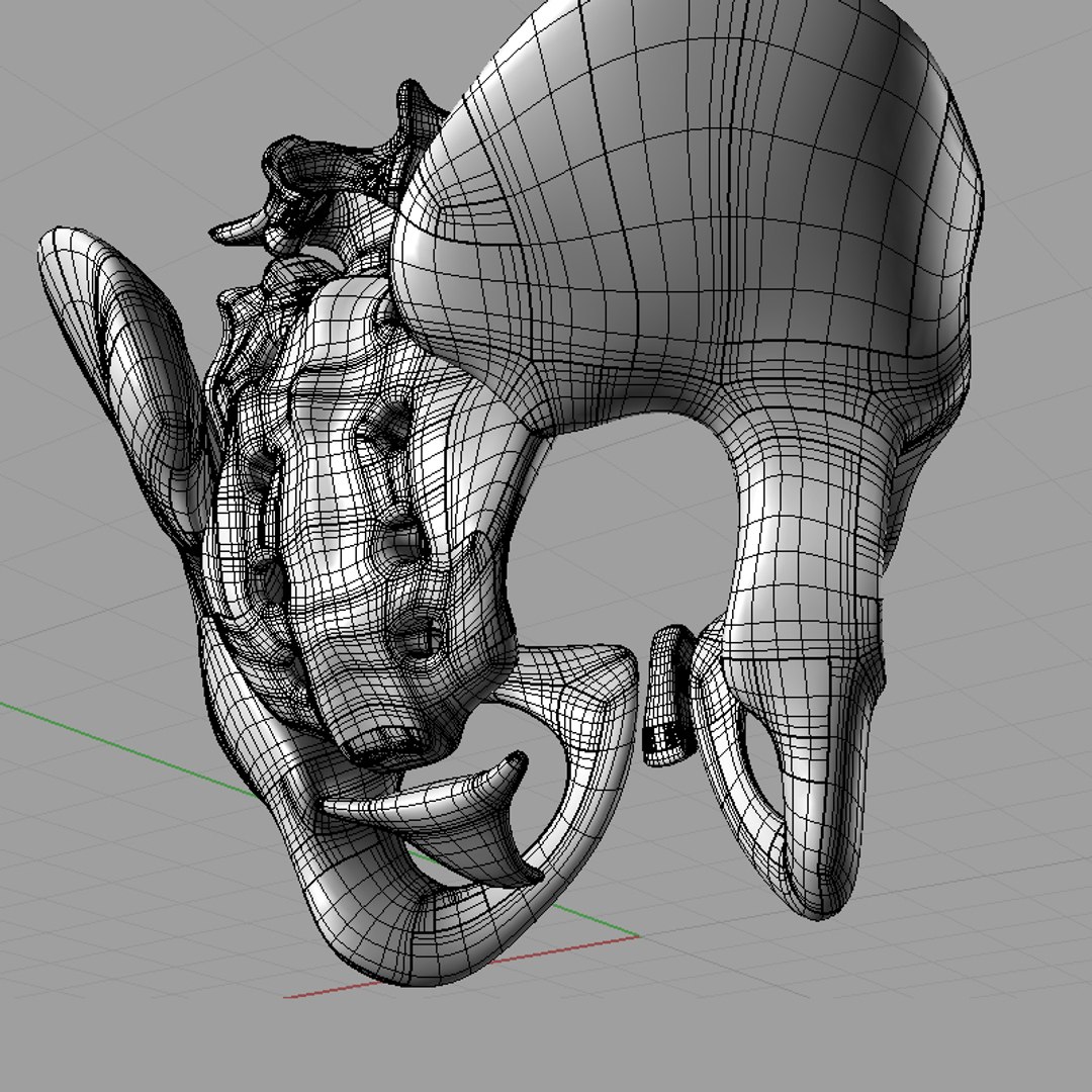 how to draw elephant in solidworks