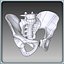 Maya Igs Pelvis Solidworks