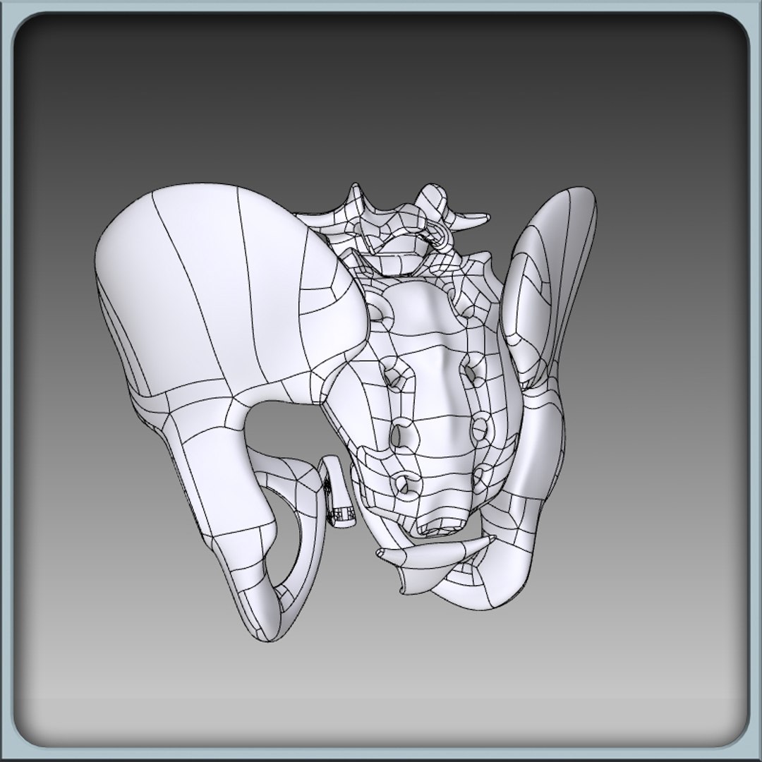 Maya Igs Pelvis Solidworks