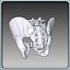 Maya Igs Pelvis Solidworks