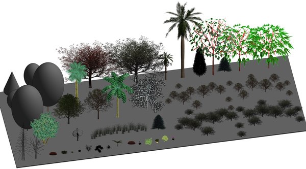 modelo 3d Familia de plantas Revit - TurboSquid 2258749