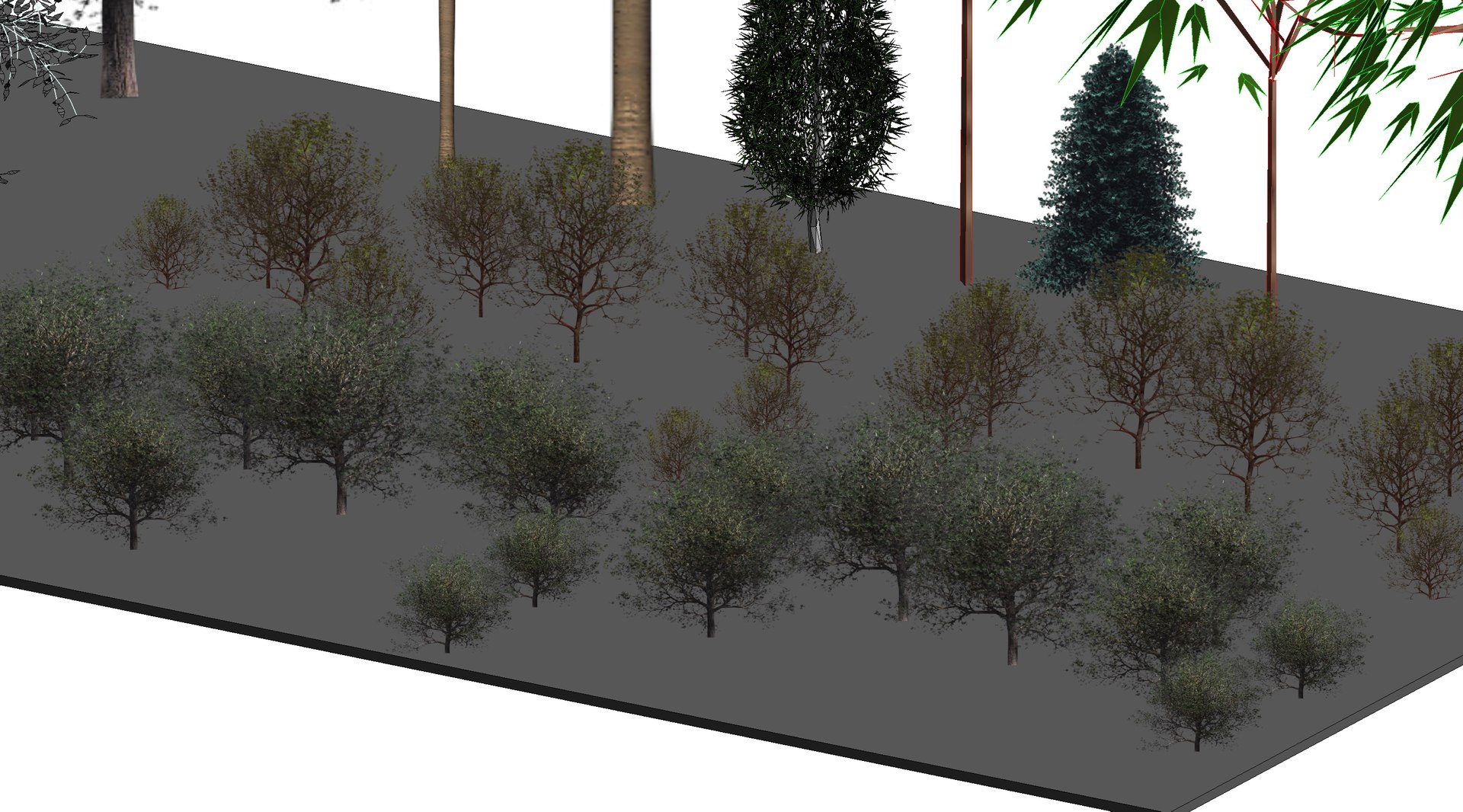 3D Tree Outdoor Landscape Revit Family - TurboSquid 2281173