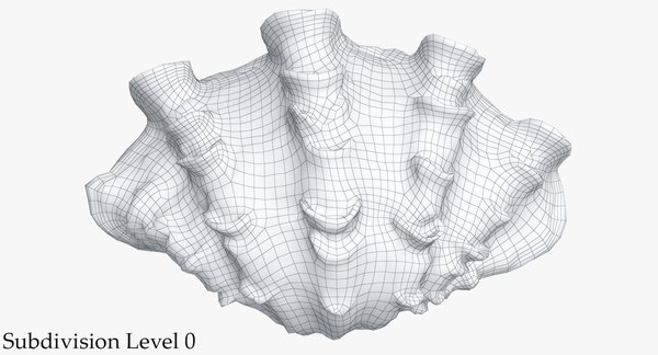 3ds max giant clam sea shell