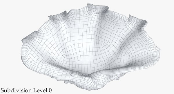 3ds max giant clam sea shell