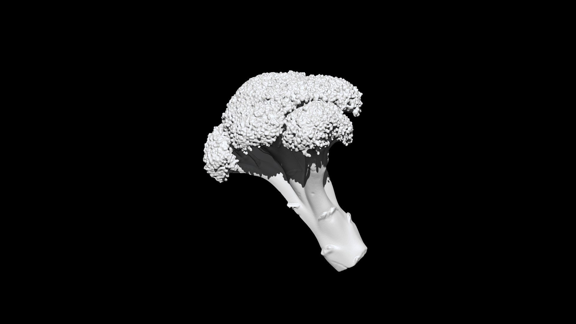 3D Broccoli Cut 3D CT Scan Model 2 Decimate 50percent - TurboSquid 1886417