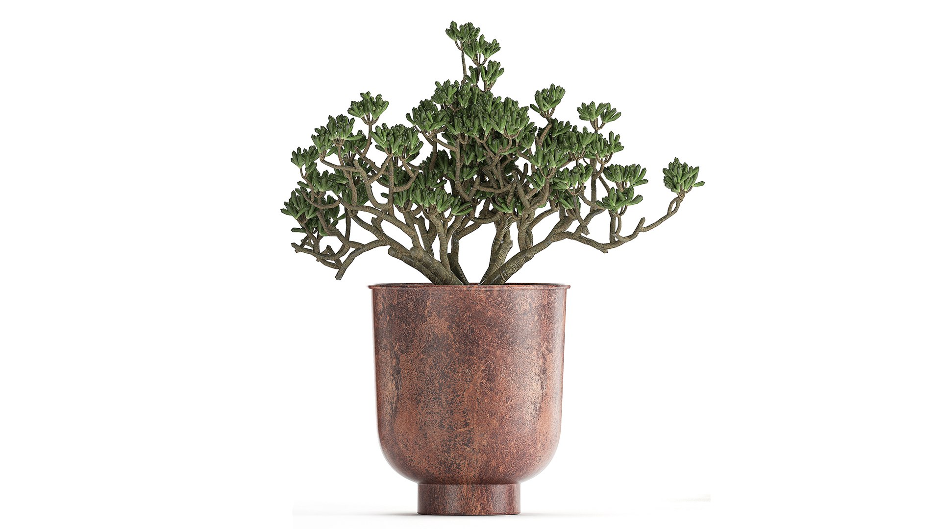 Plants Planter 3D Model - TurboSquid 1694561