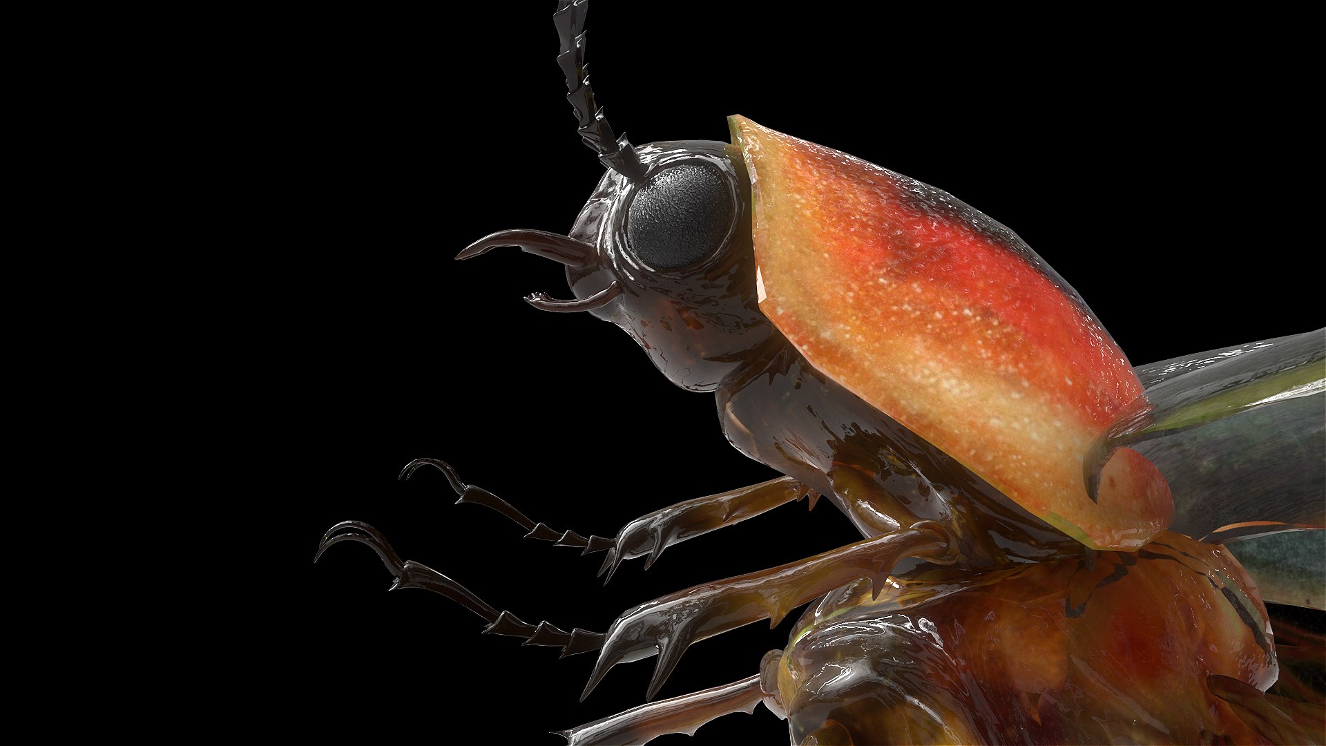 Firefly Bug 3D - TurboSquid 1540795