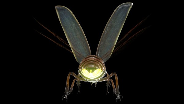 Firefly bug 3D - TurboSquid 1540795