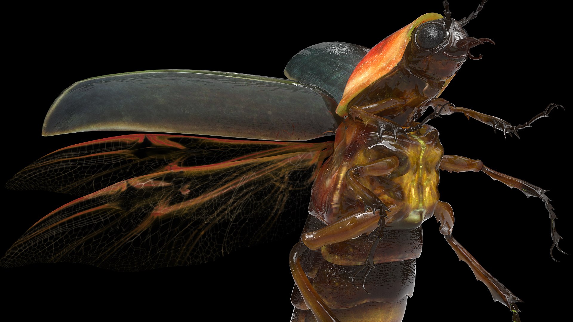 Firefly Bug 3D - TurboSquid 1540795