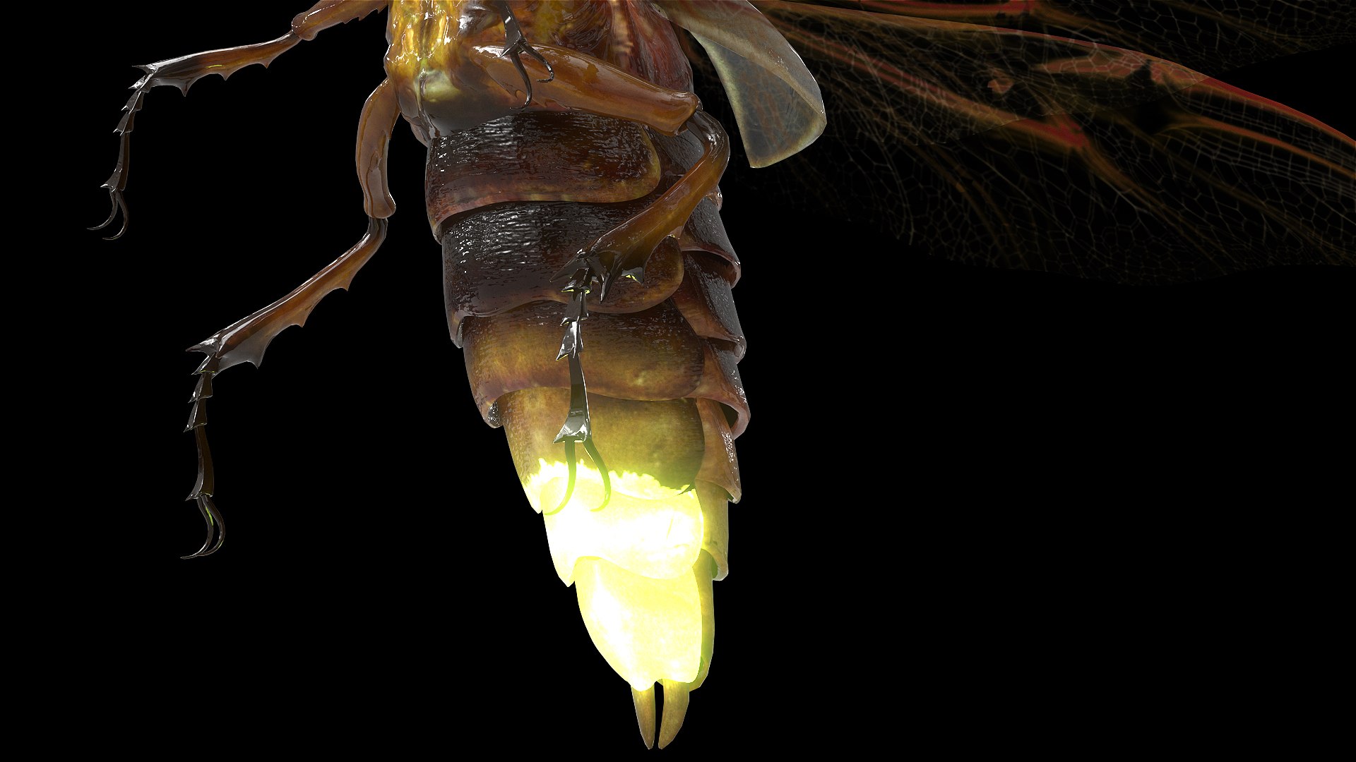 Firefly Bug 3D - TurboSquid 1540795