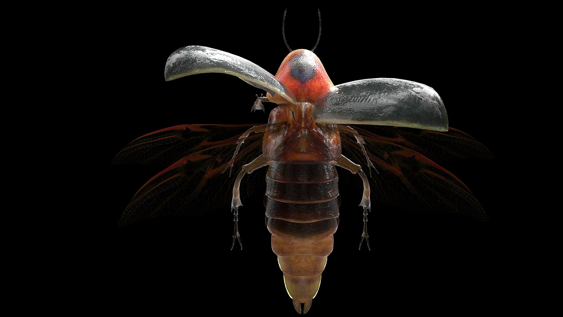 Firefly Bug 3D - TurboSquid 1540795