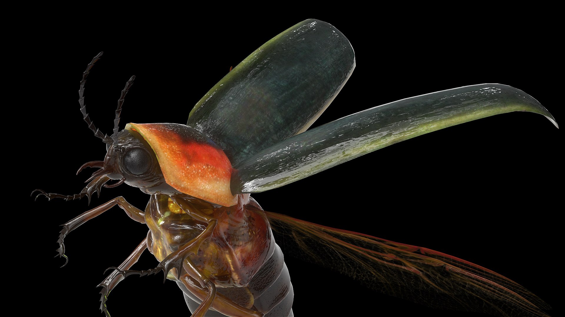 Firefly Bug 3D - TurboSquid 1540795