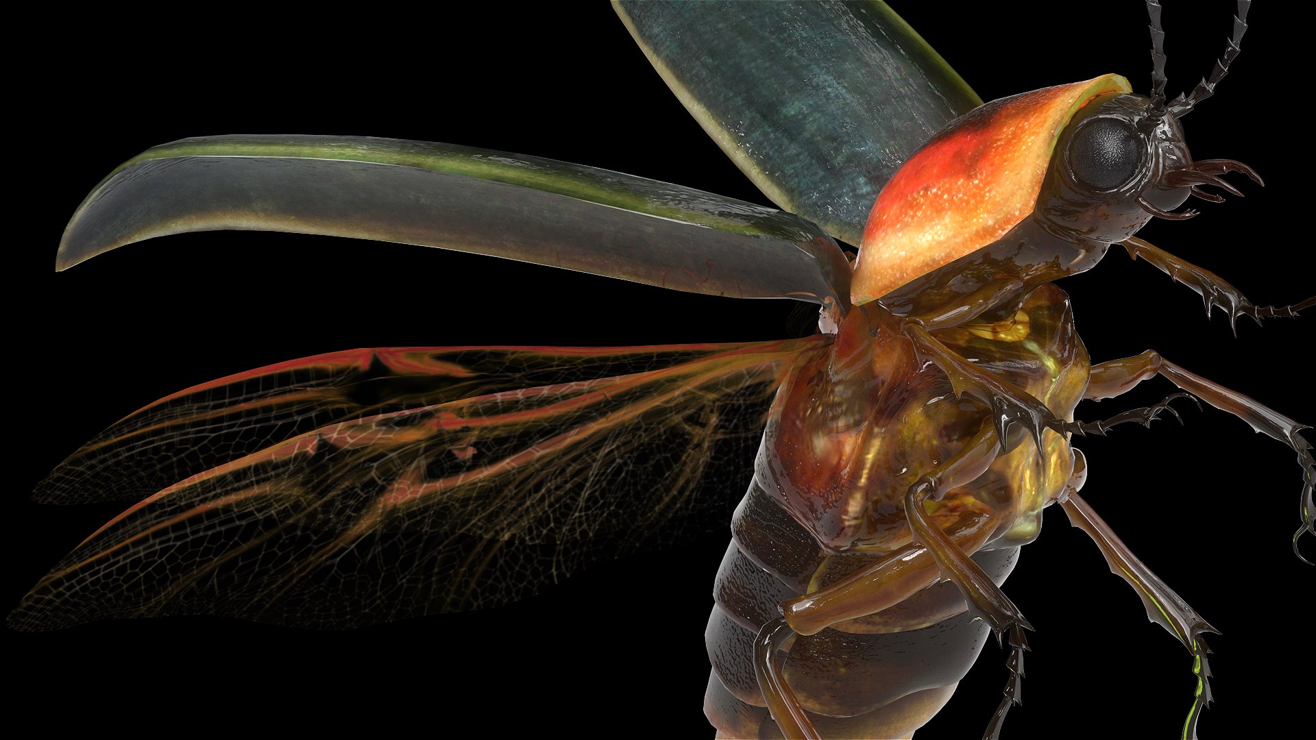 Firefly Bug 3D - TurboSquid 1540795