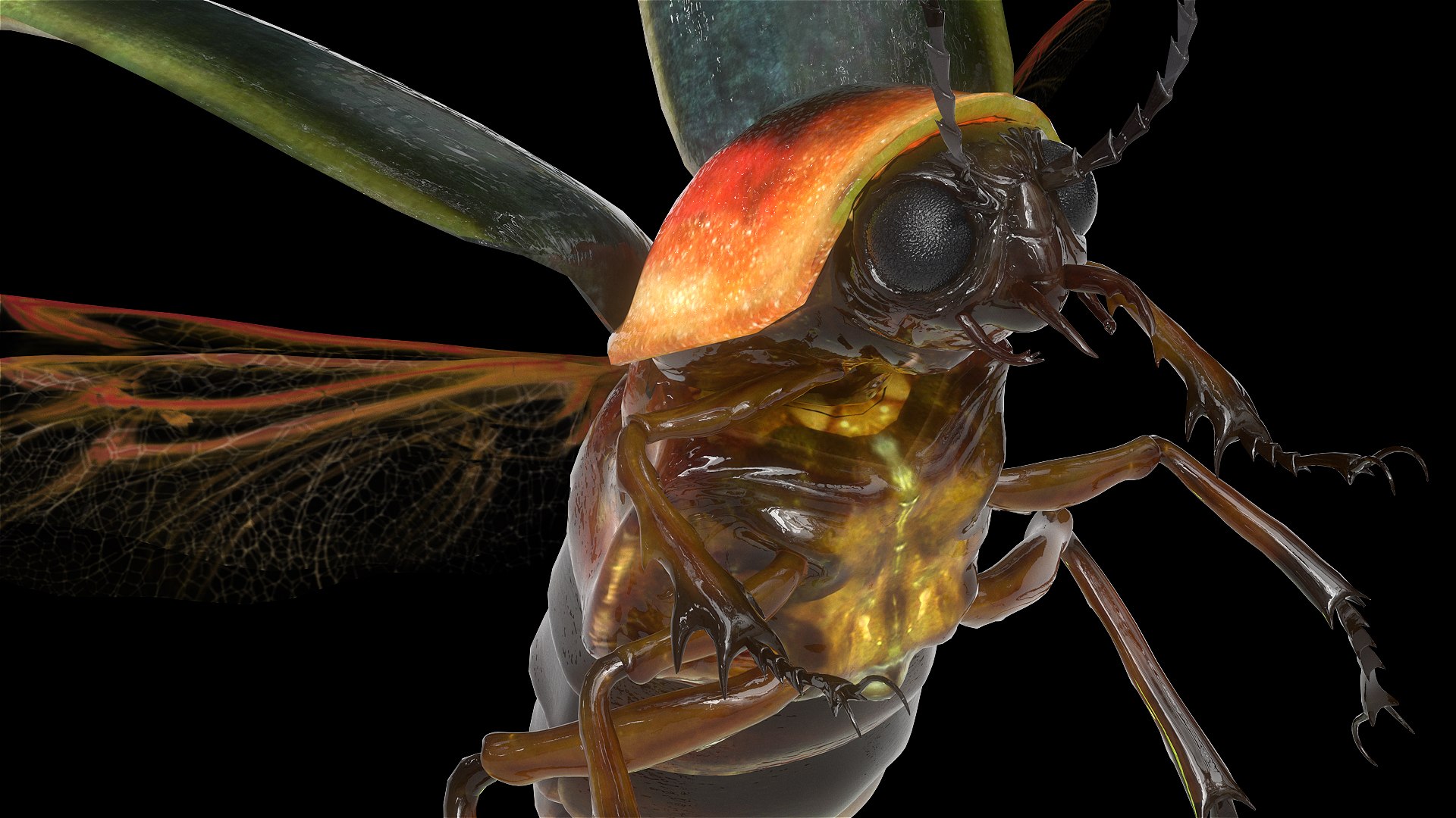 Firefly Bug 3D - TurboSquid 1540795