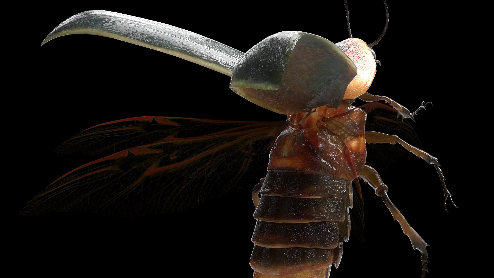Firefly bug 3D - TurboSquid 1540795