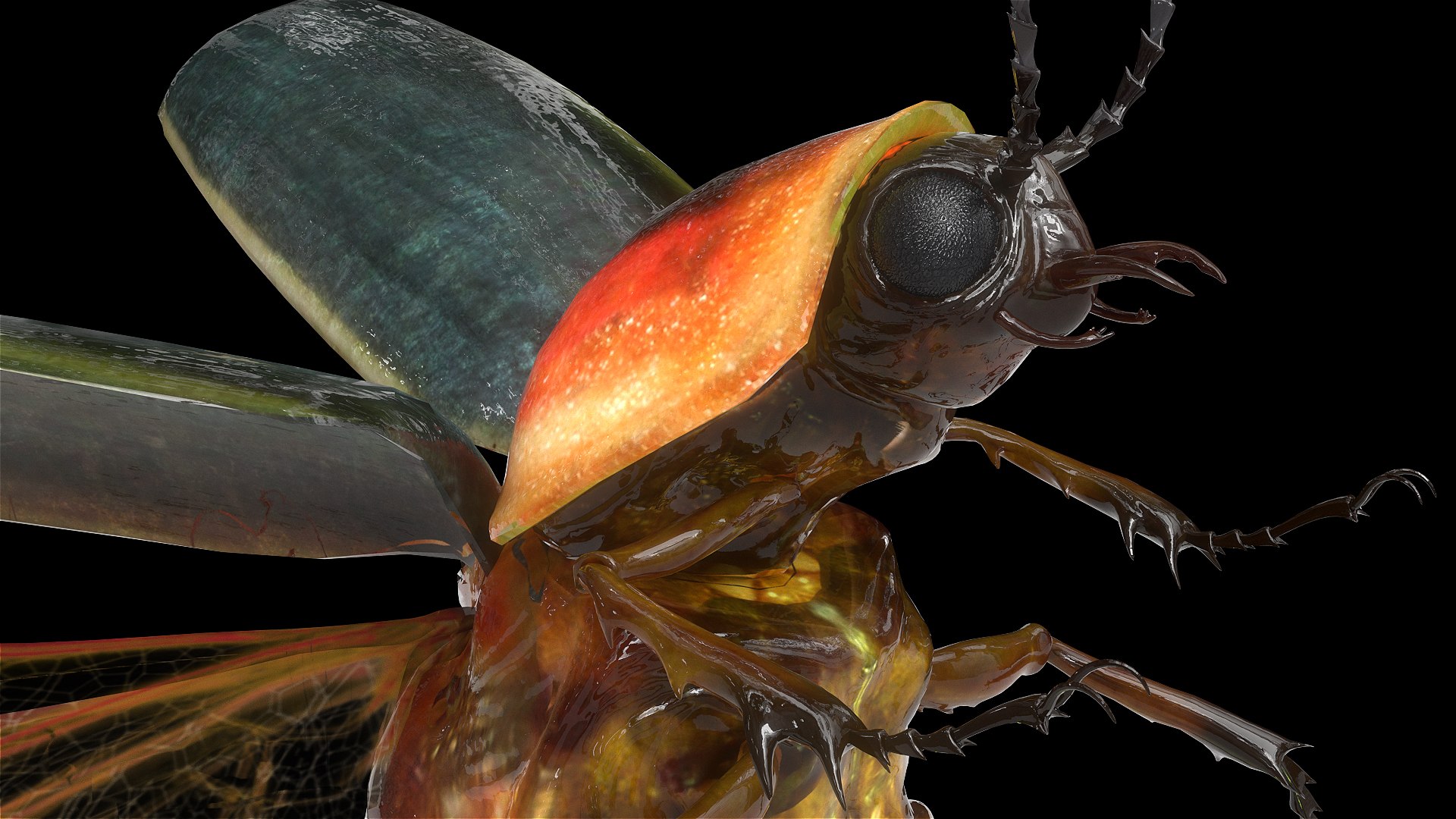 Firefly Bug 3D - TurboSquid 1540795