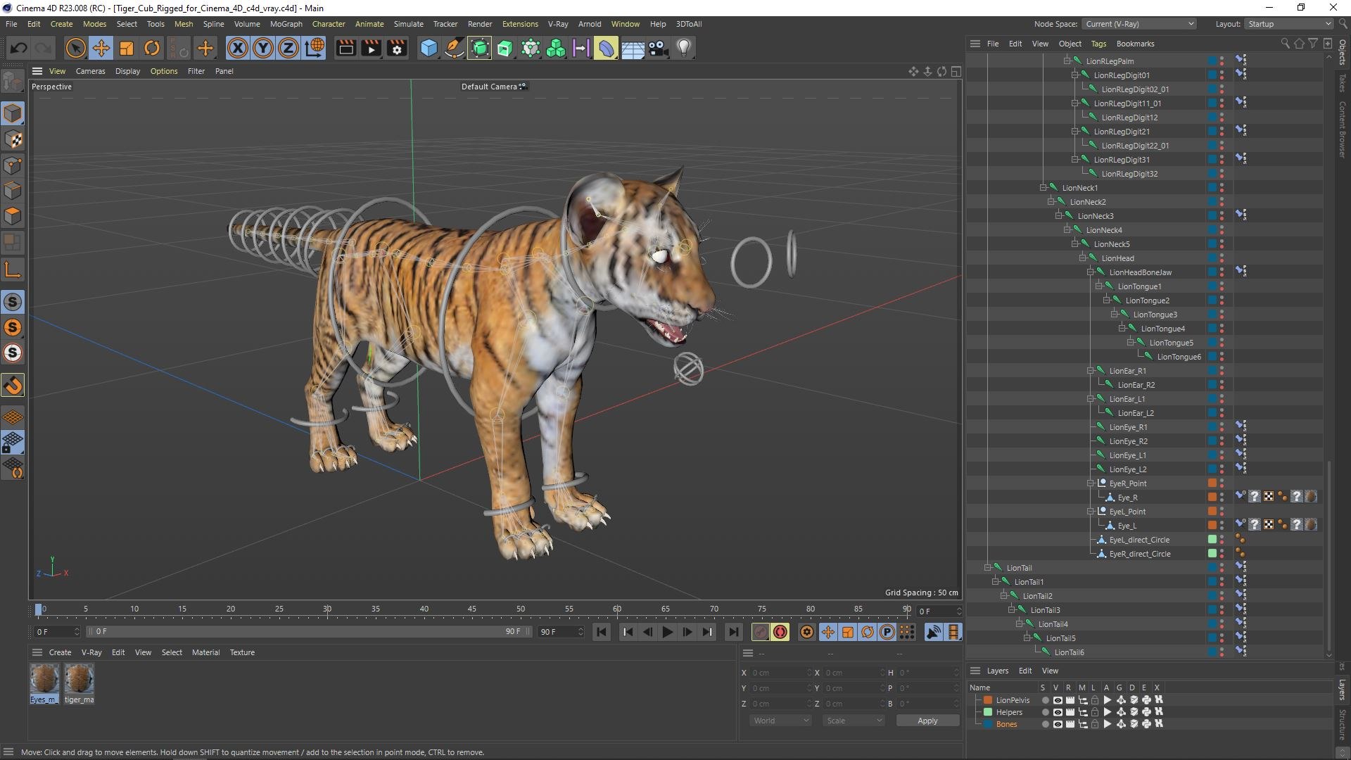 3D Tiger Cub Rigged For Cinema 4D Model - TurboSquid 2377349