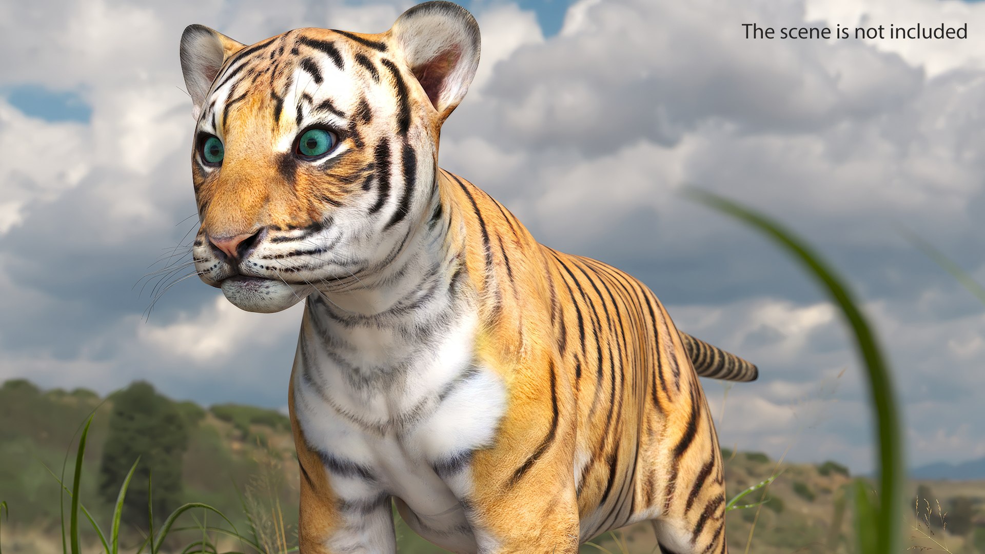 3D Tiger Cub Rigged For Cinema 4D Model - TurboSquid 2377349
