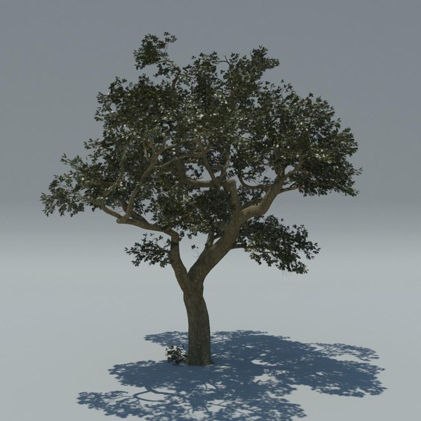 obj tree