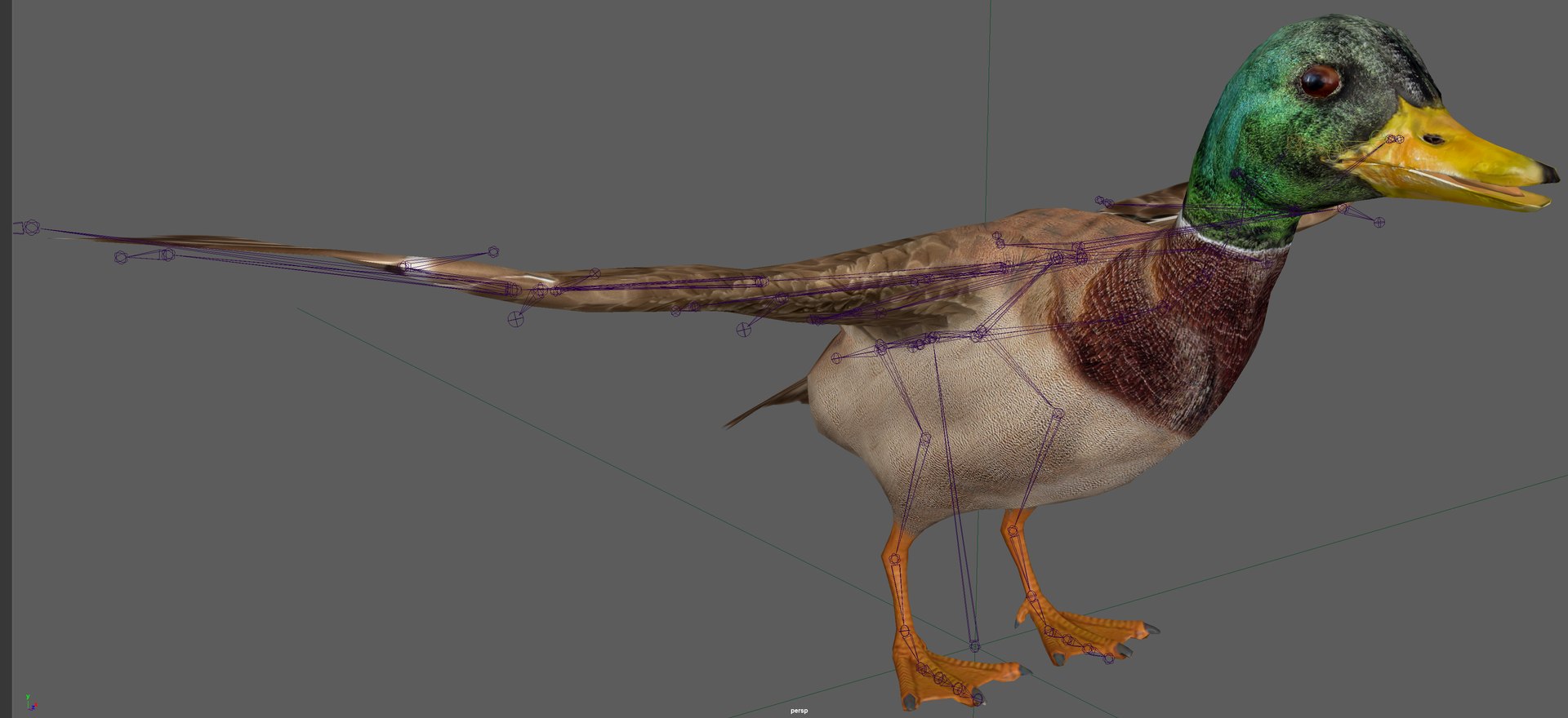 3D Duck Mallard Lowpoly Rigged Model - TurboSquid 1919665