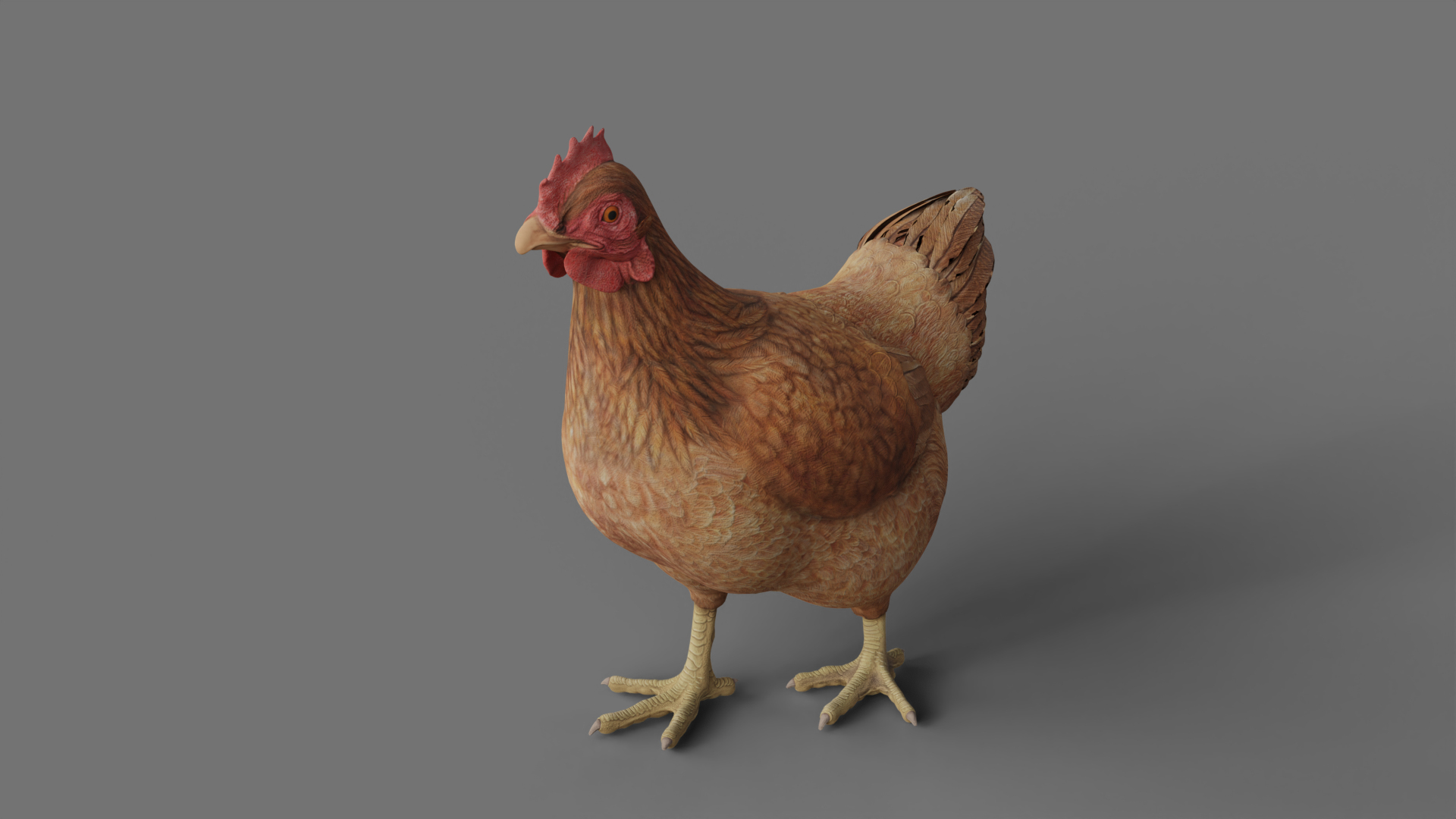 Chicken 3D - TurboSquid 2074622