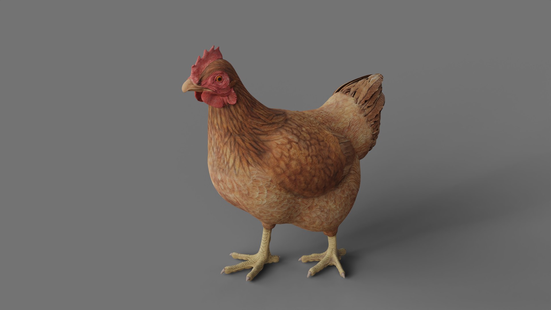 Chicken 3D - TurboSquid 2074622