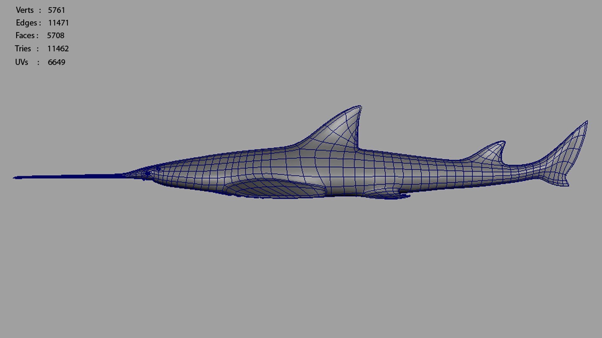 Sawfishes Sharks 3d Model