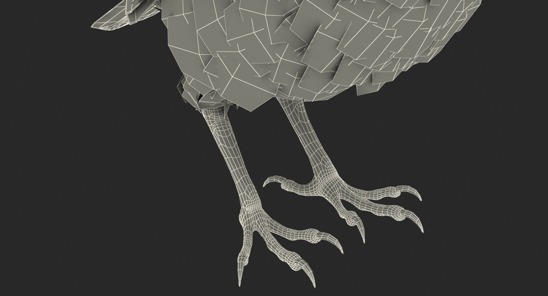 Raven sparrow 3D model - TurboSquid 1389063