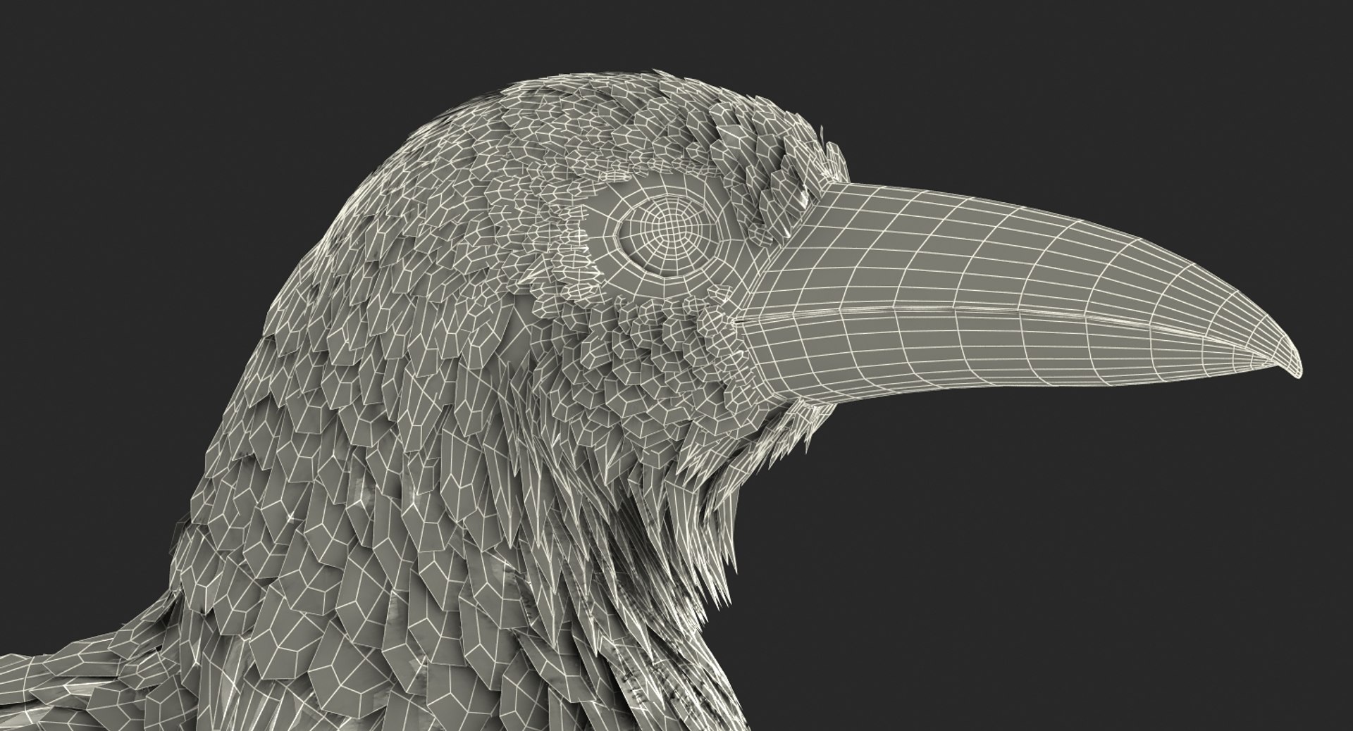 Raven sparrow 3D model - TurboSquid 1389063