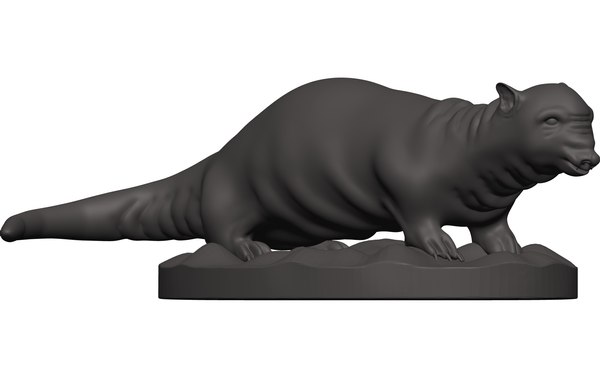 3D Otter model - TurboSquid 1850449