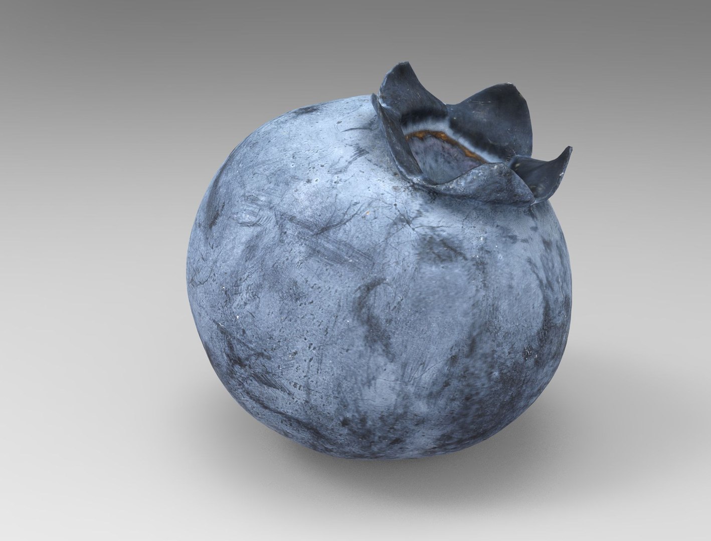 3D Blueberry - TurboSquid 1949363