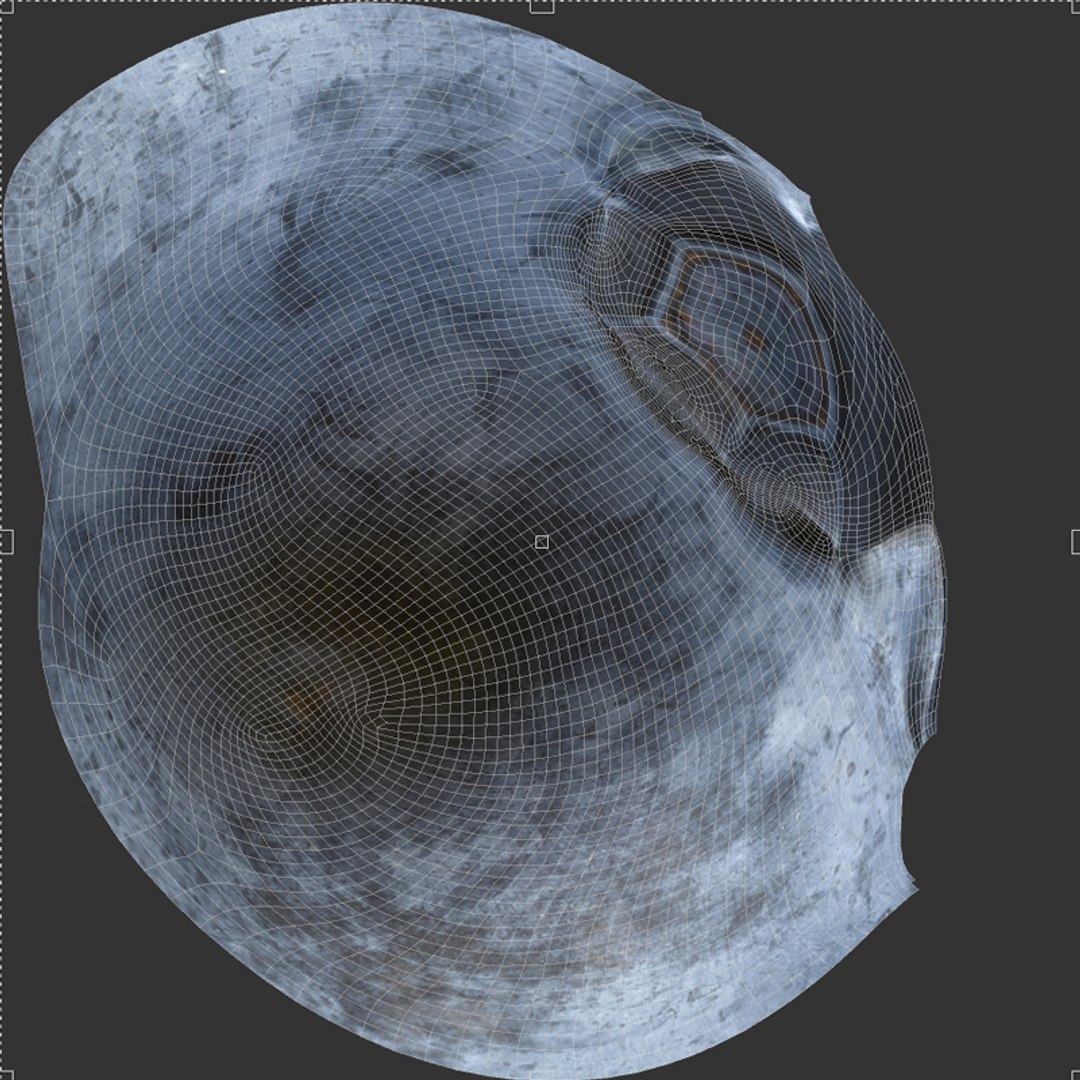 3D Blueberry - TurboSquid 1949363