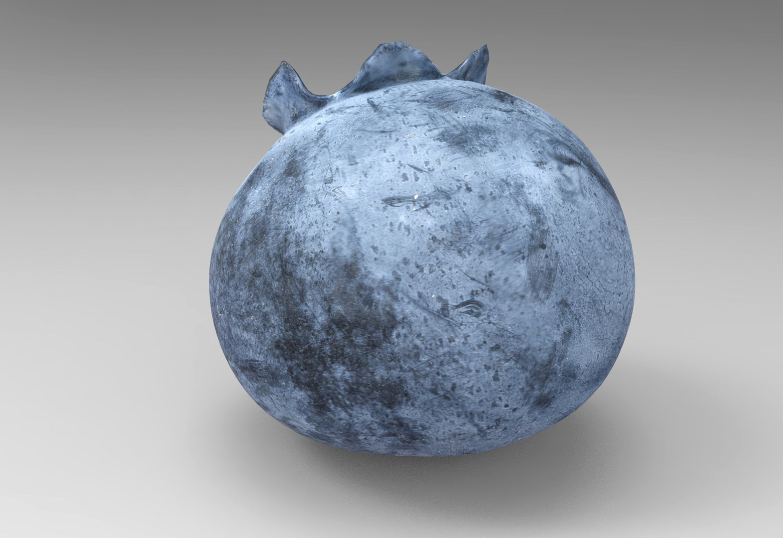 3D Blueberry - TurboSquid 1949363