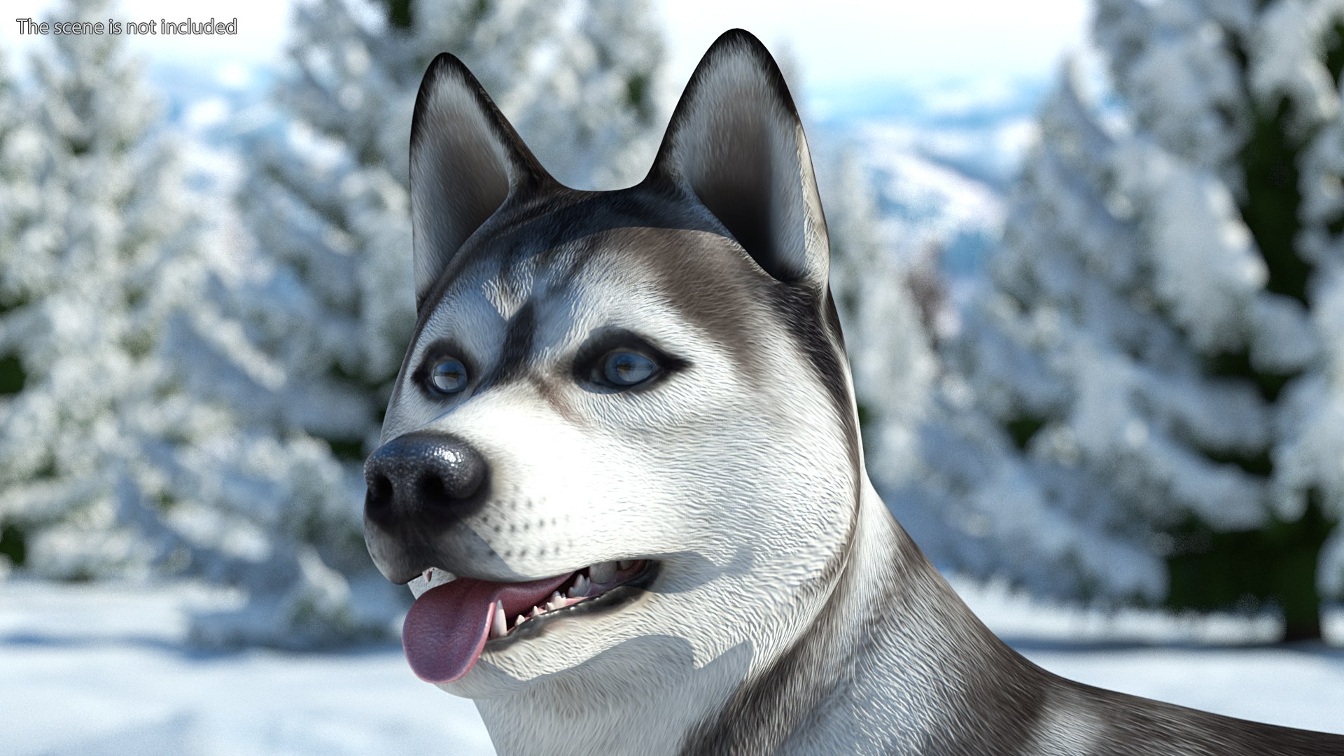 Sims 3 Husky