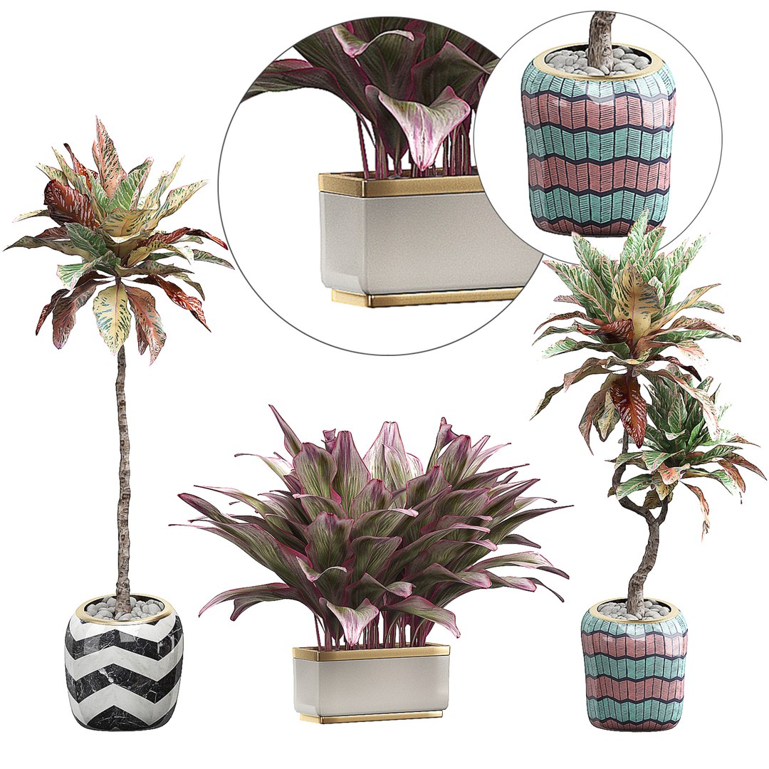 Potted plants set 35 3D - TurboSquid 1562150