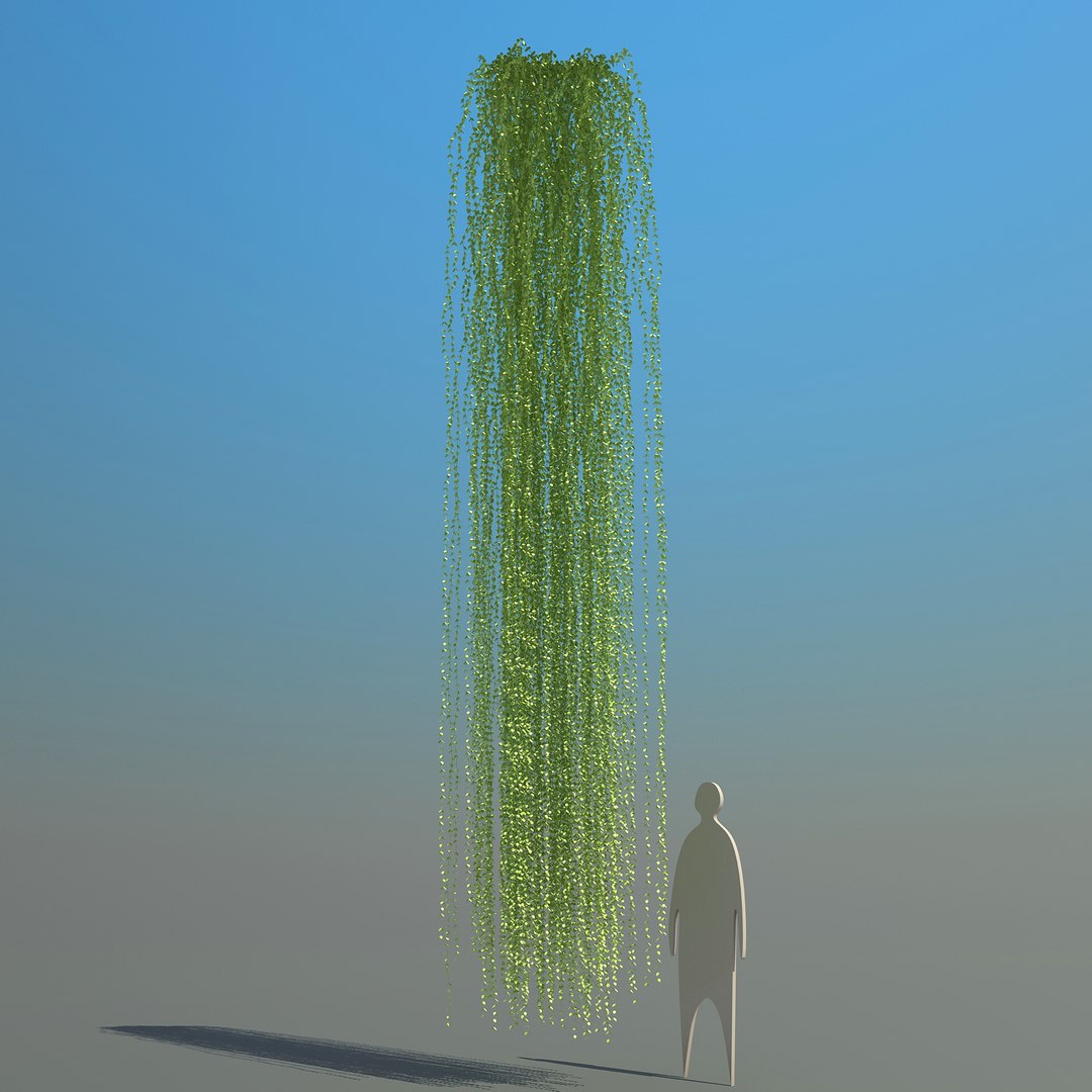 plants 5 3d obj
