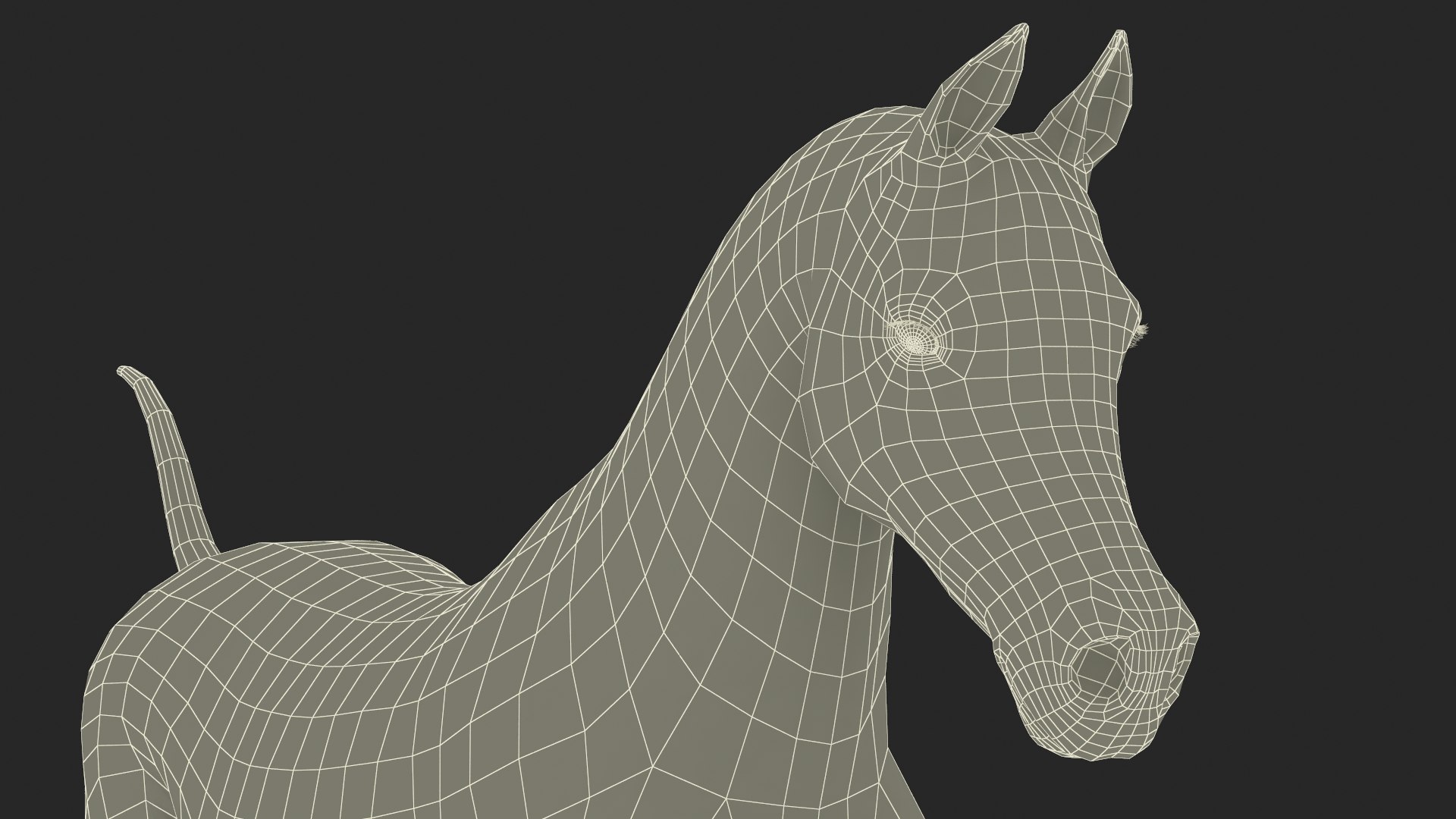 3D Walking Arabian Horse Gray Dappled Fur Model - TurboSquid 2179992