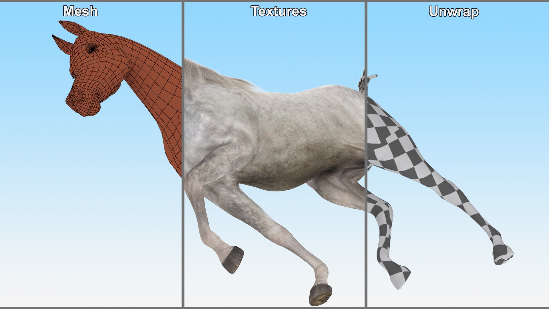 3D Walking Arabian Horse Gray Dappled Fur Model - TurboSquid 2179992