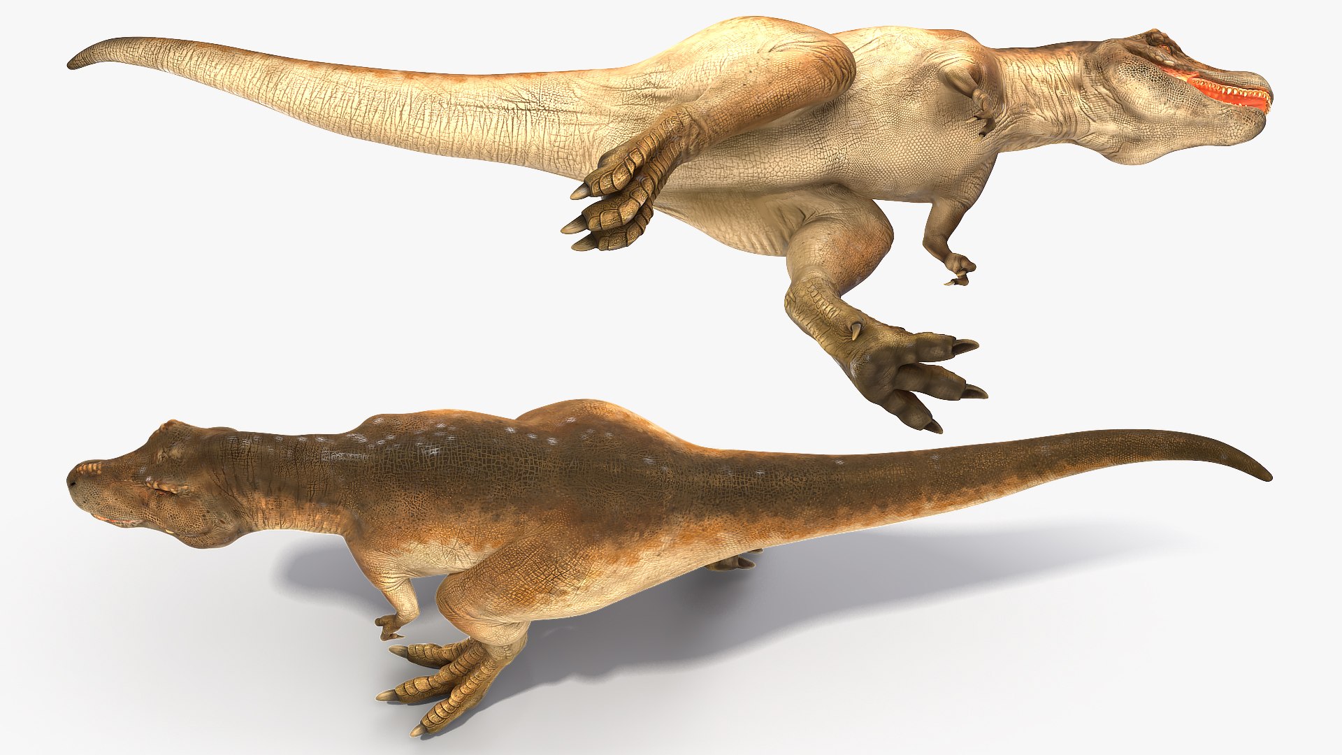 3D Tyrannosaurus Rex Running Dinosaur Animal Model - TurboSquid 1566261