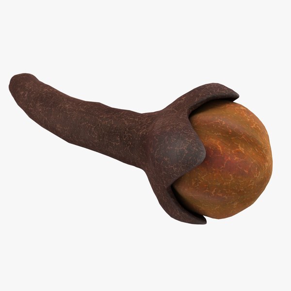 Clove 3D Models for Download | TurboSquid