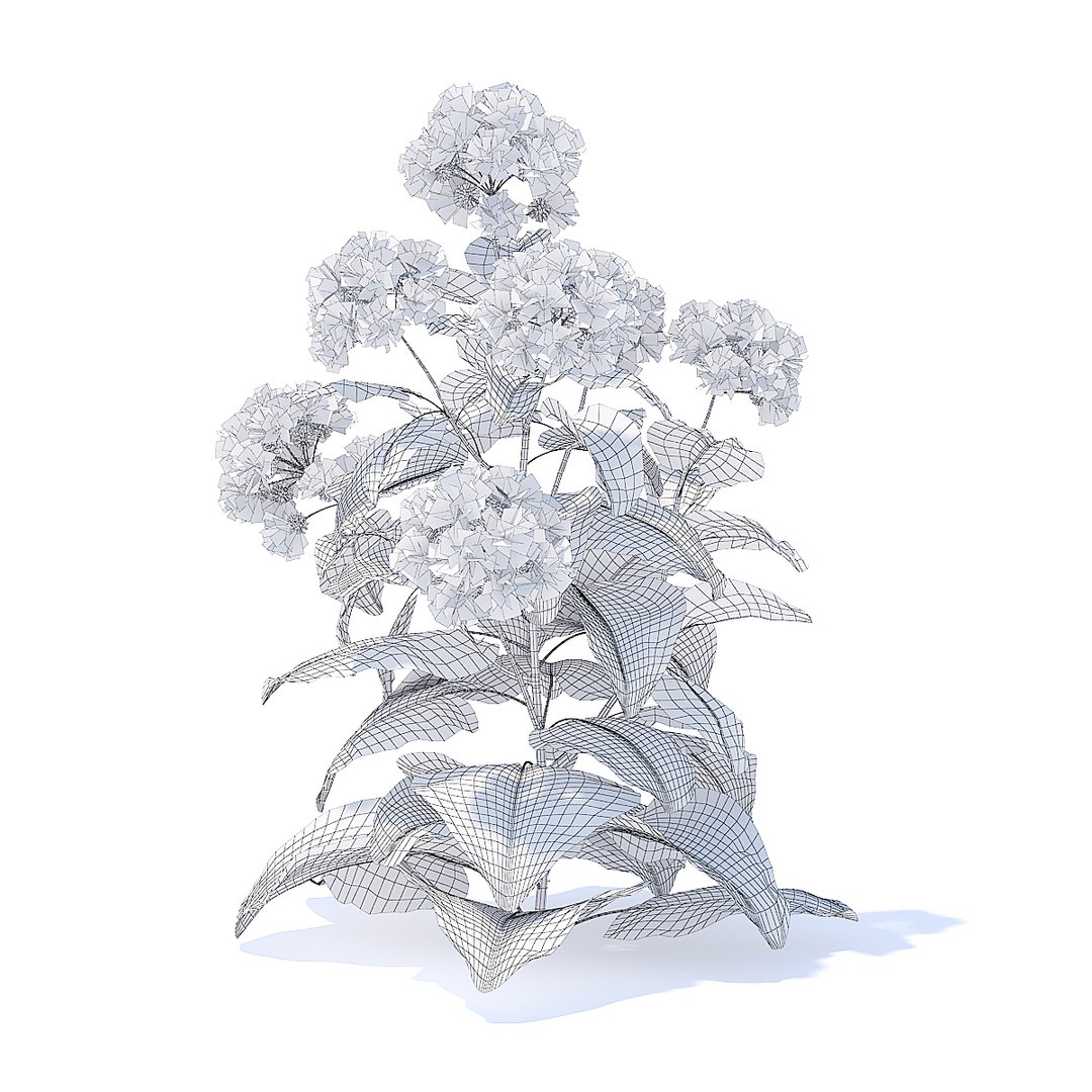 3D Thistle Plant Silybum Model - TurboSquid 1229020