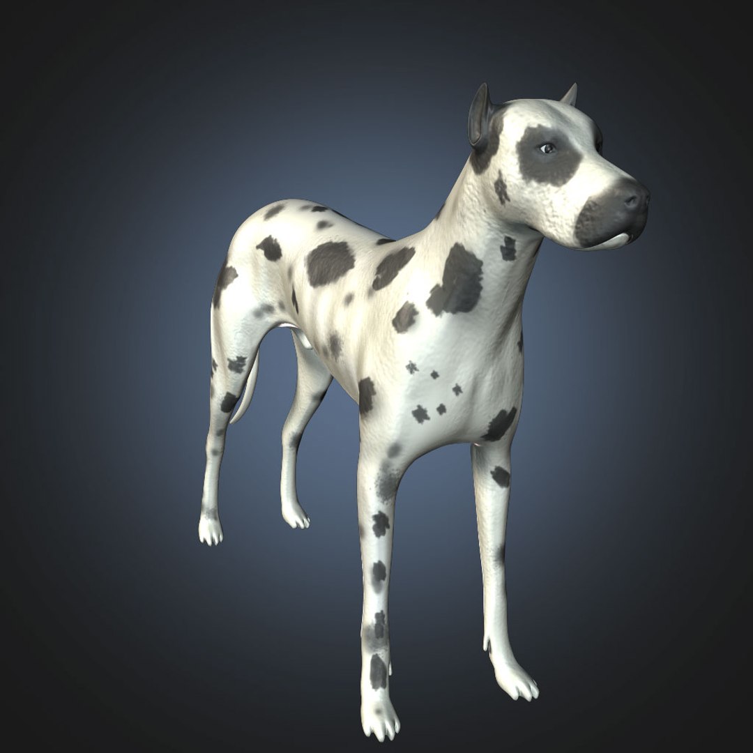 Dog 3d Obj