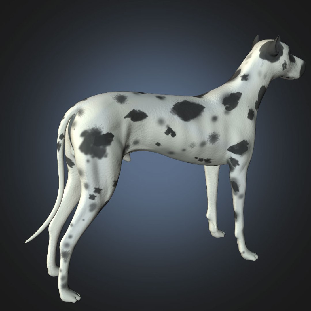 Dog 3d Obj
