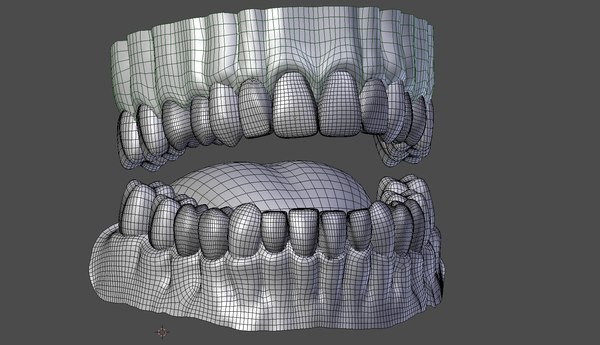 3D teeth - TurboSquid 1170724