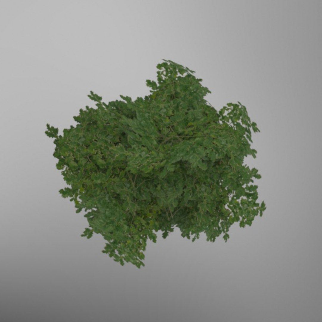 3d Bush