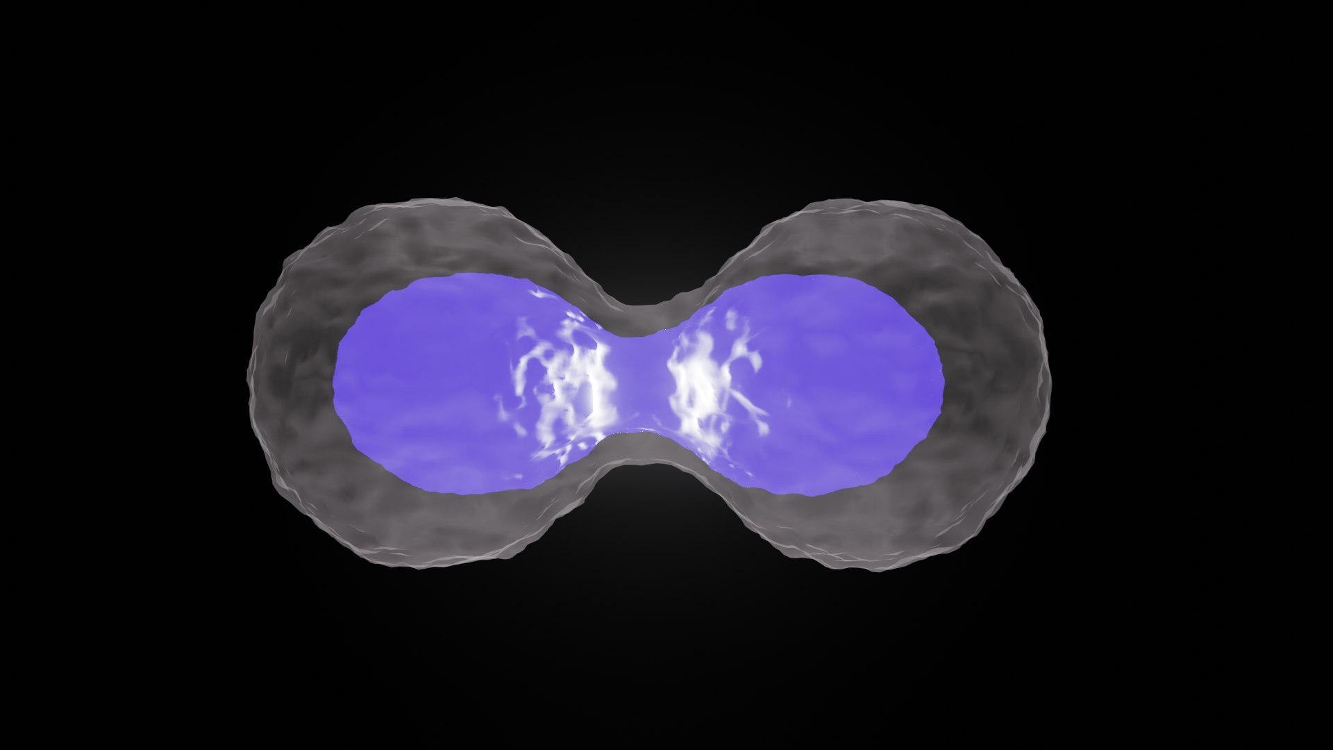 Cell Division Or Mitosis 3D - TurboSquid 2069298