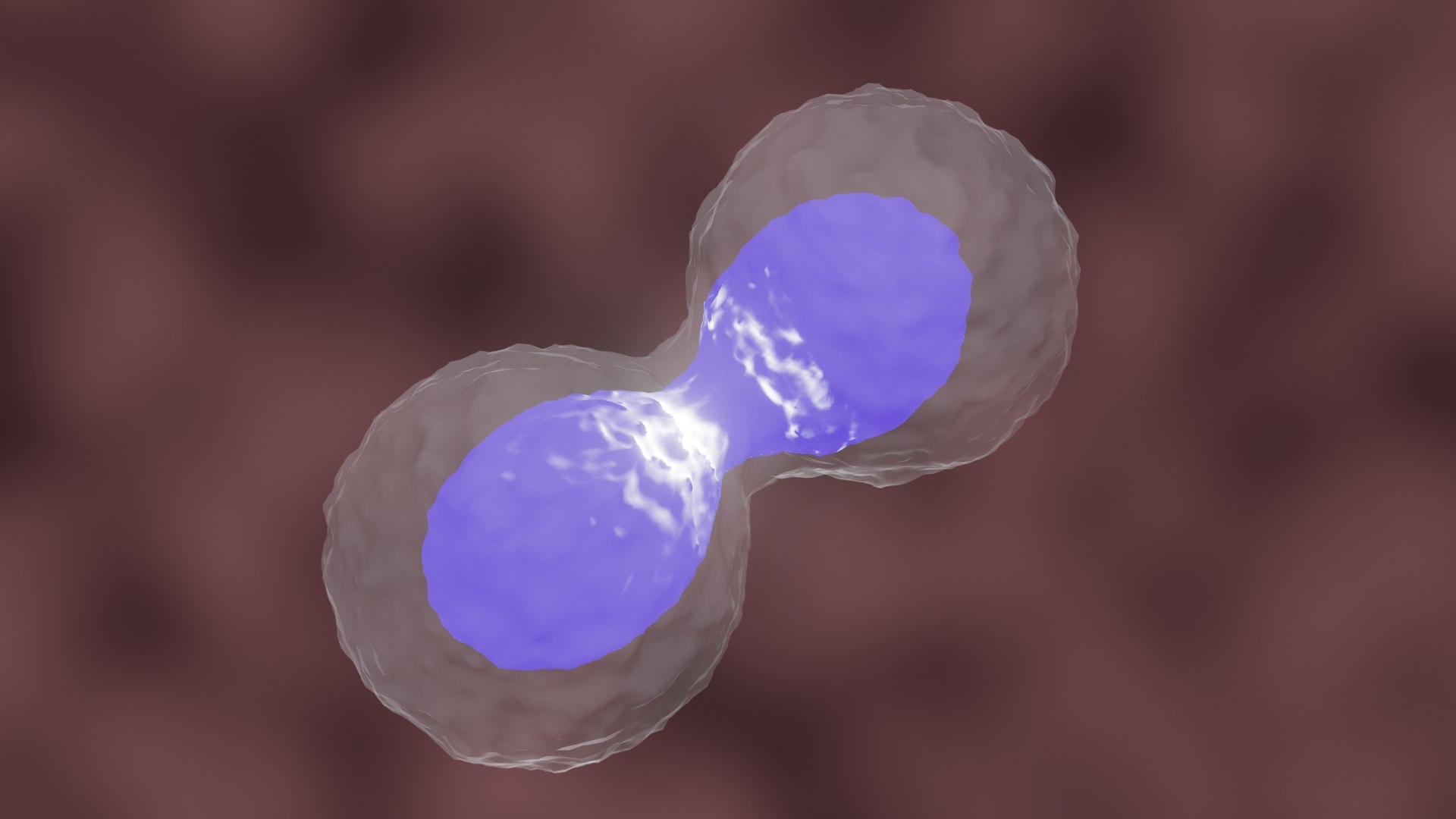 Cell Division Or Mitosis 3D - TurboSquid 2069298