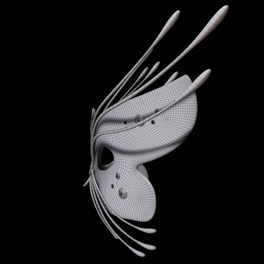 Butterfly Mask Model - TurboSquid 1296971